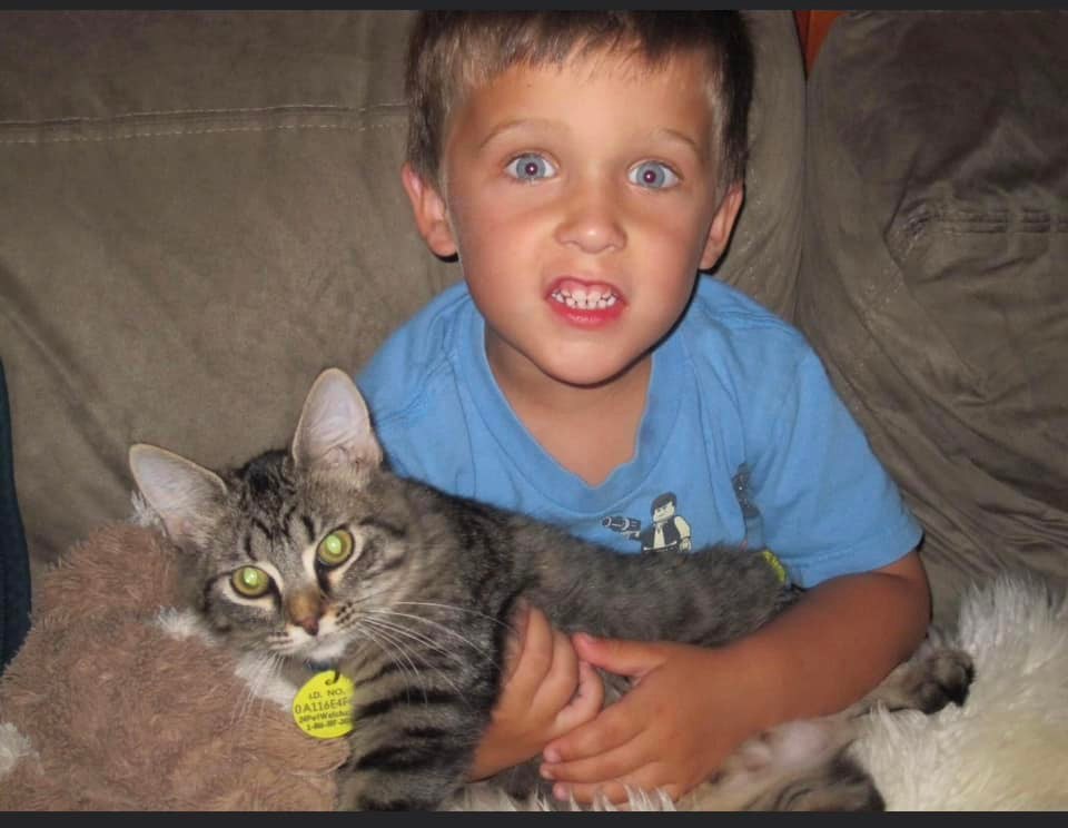 Animal Control Worker 'Puts on Detective Hat' to Reunite Cat Missing 11 ...